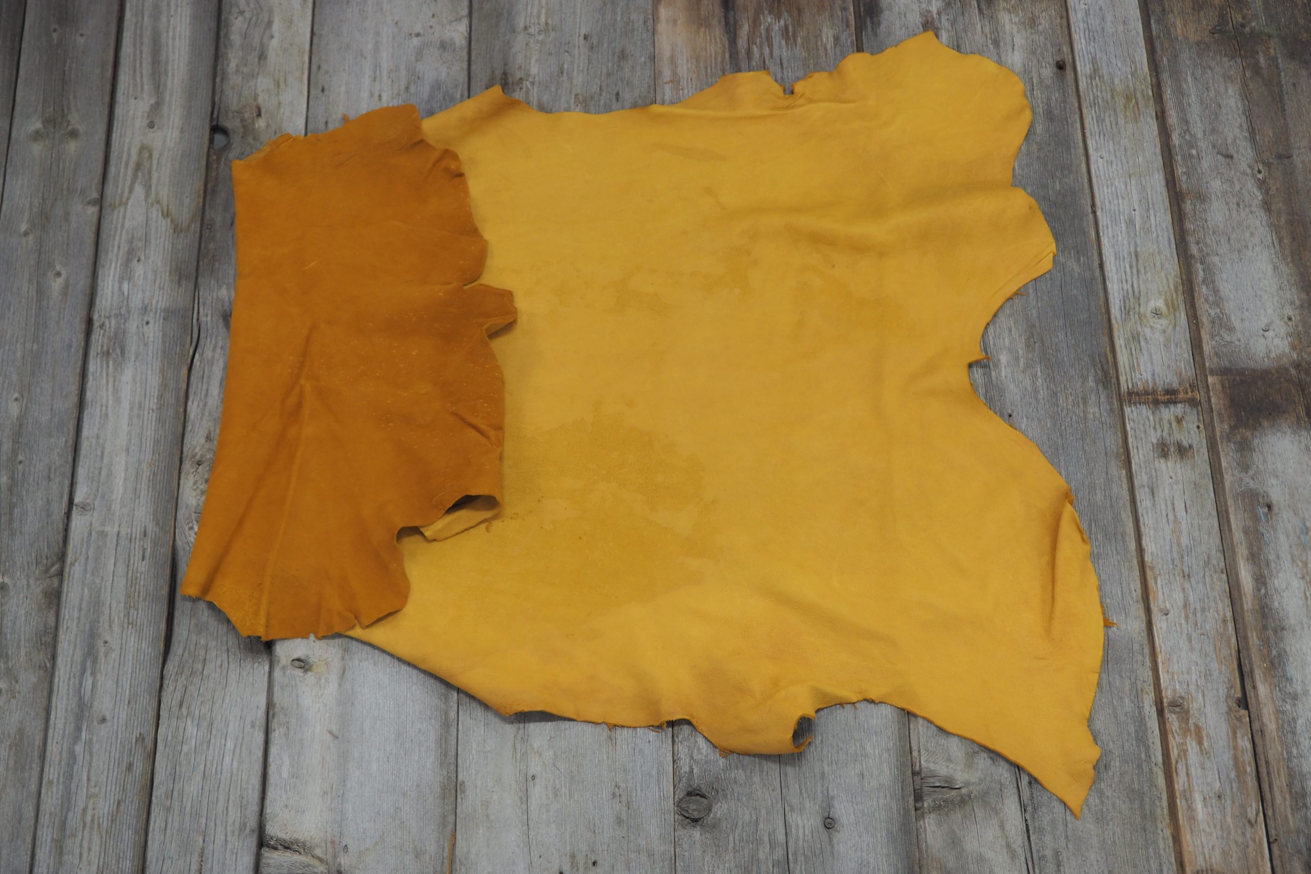 Deer leather | Gaston Henry Fourrures